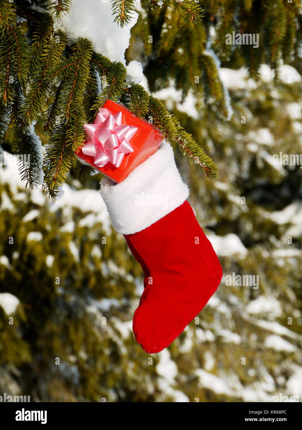 Sock tree hi-res stock photography and images - Alamy