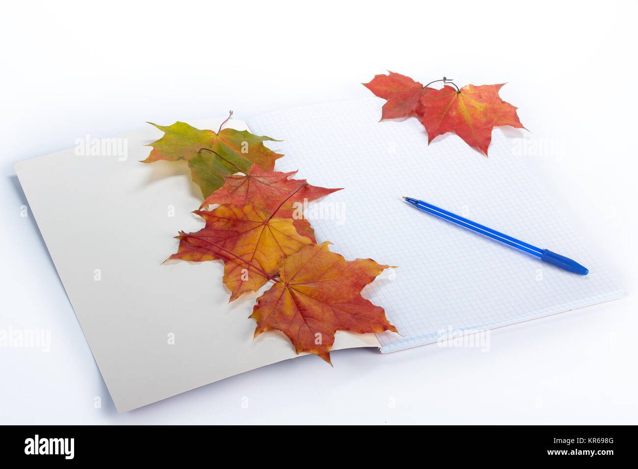 Writing-book, pen and autumn leaves Stock Photo - Alamy