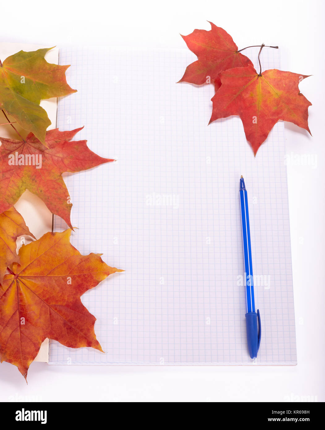Writing-book, pen and autumn leaves Stock Photo - Alamy