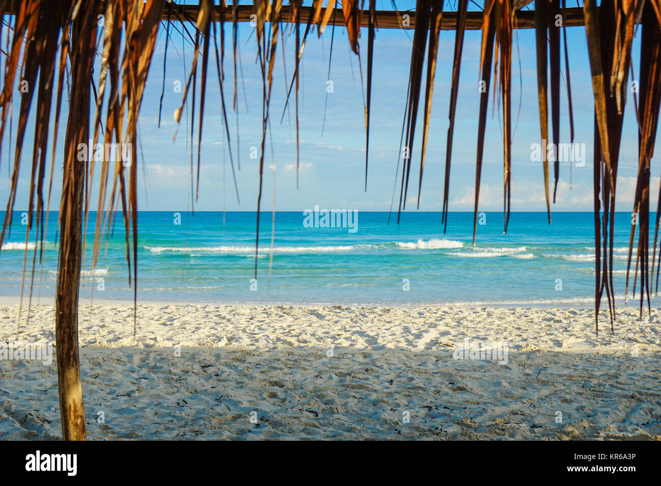 Tropical Beach in Cuba Stock Photo - Alamy