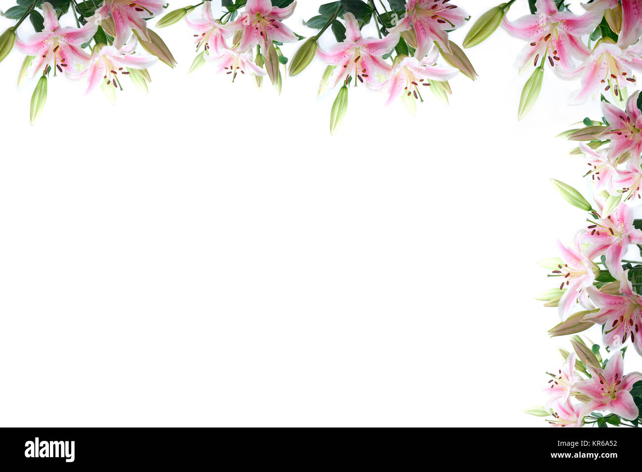 lily flowers composition frame Stock Photo - Alamy