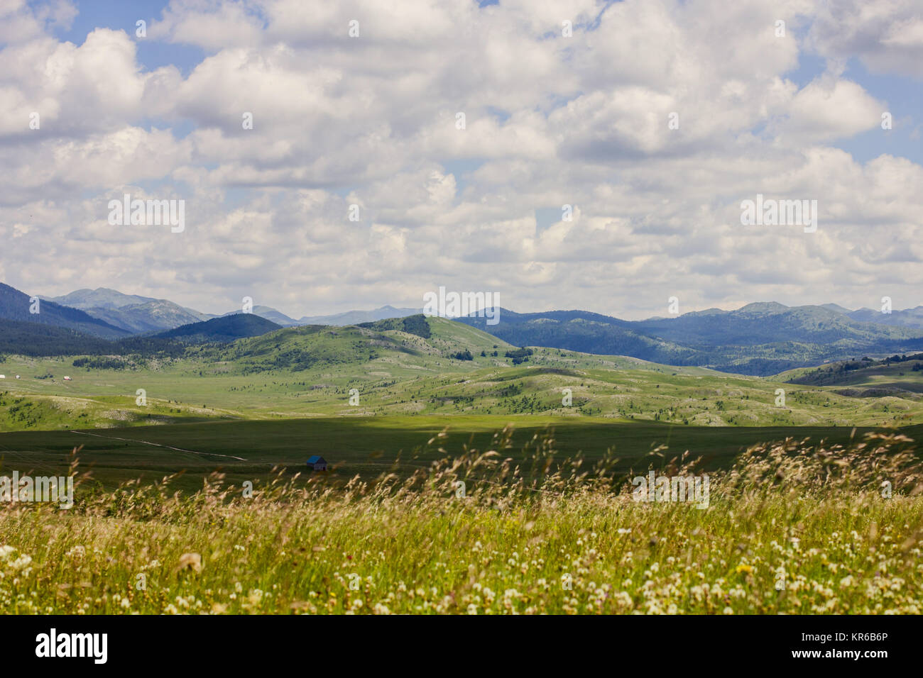 Summer Colorful Nature Landscape Stock Photo - Alamy