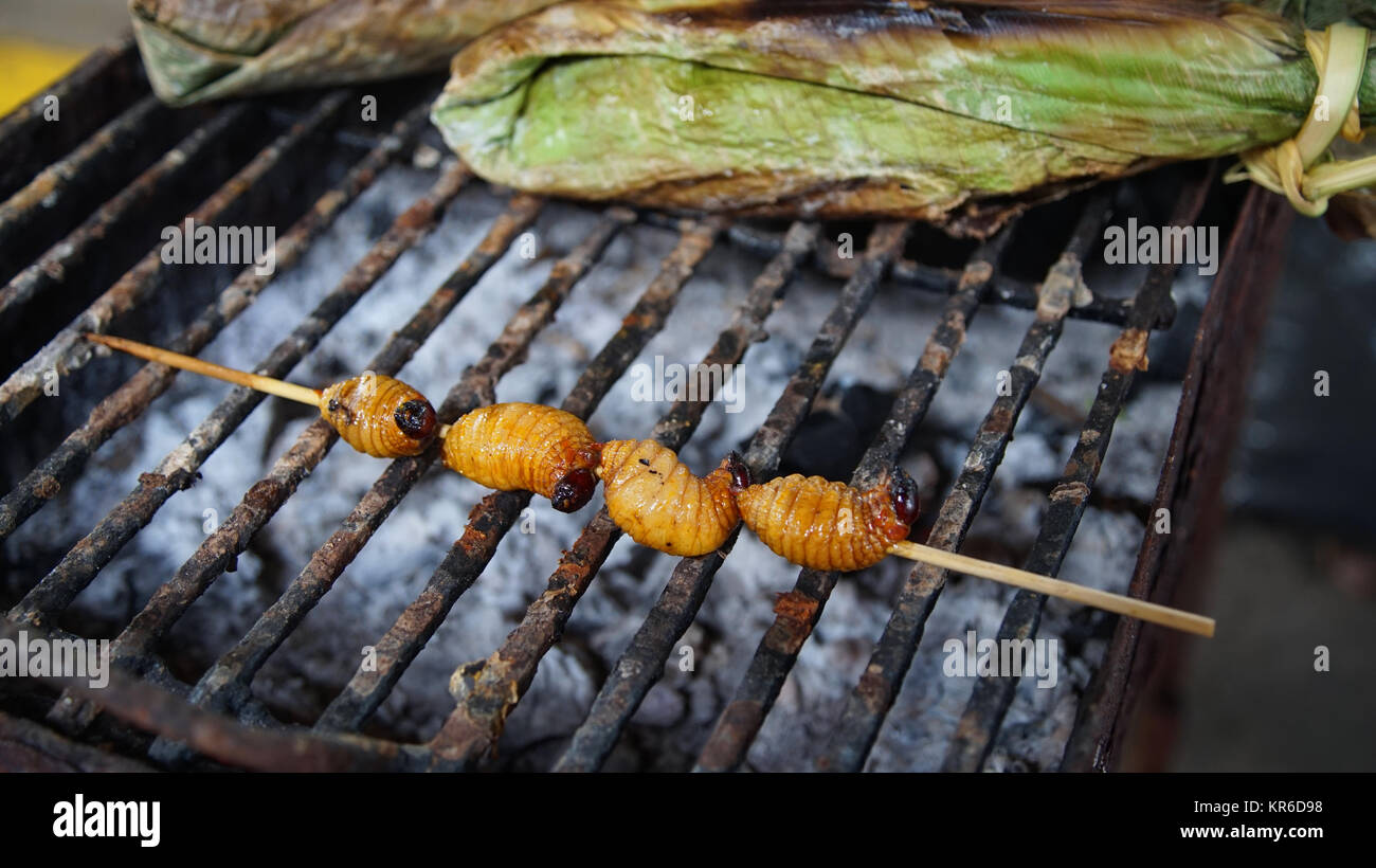 Roasted worms called Chontacuros or Mayones Stock Photo - Alamy