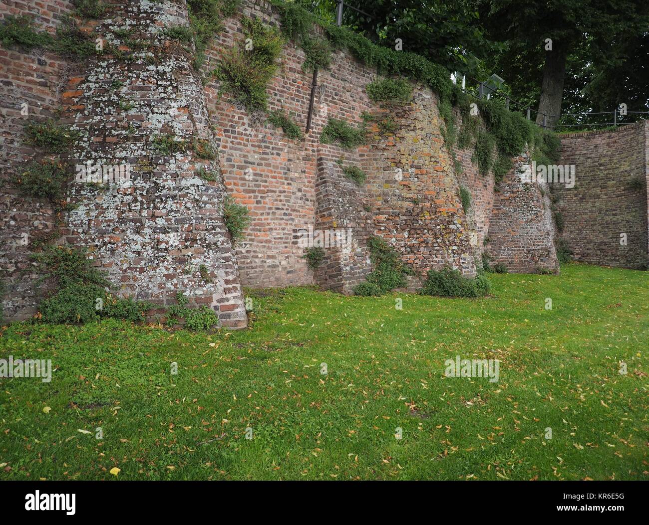 Stadt rees hi-res stock photography and images - Alamy