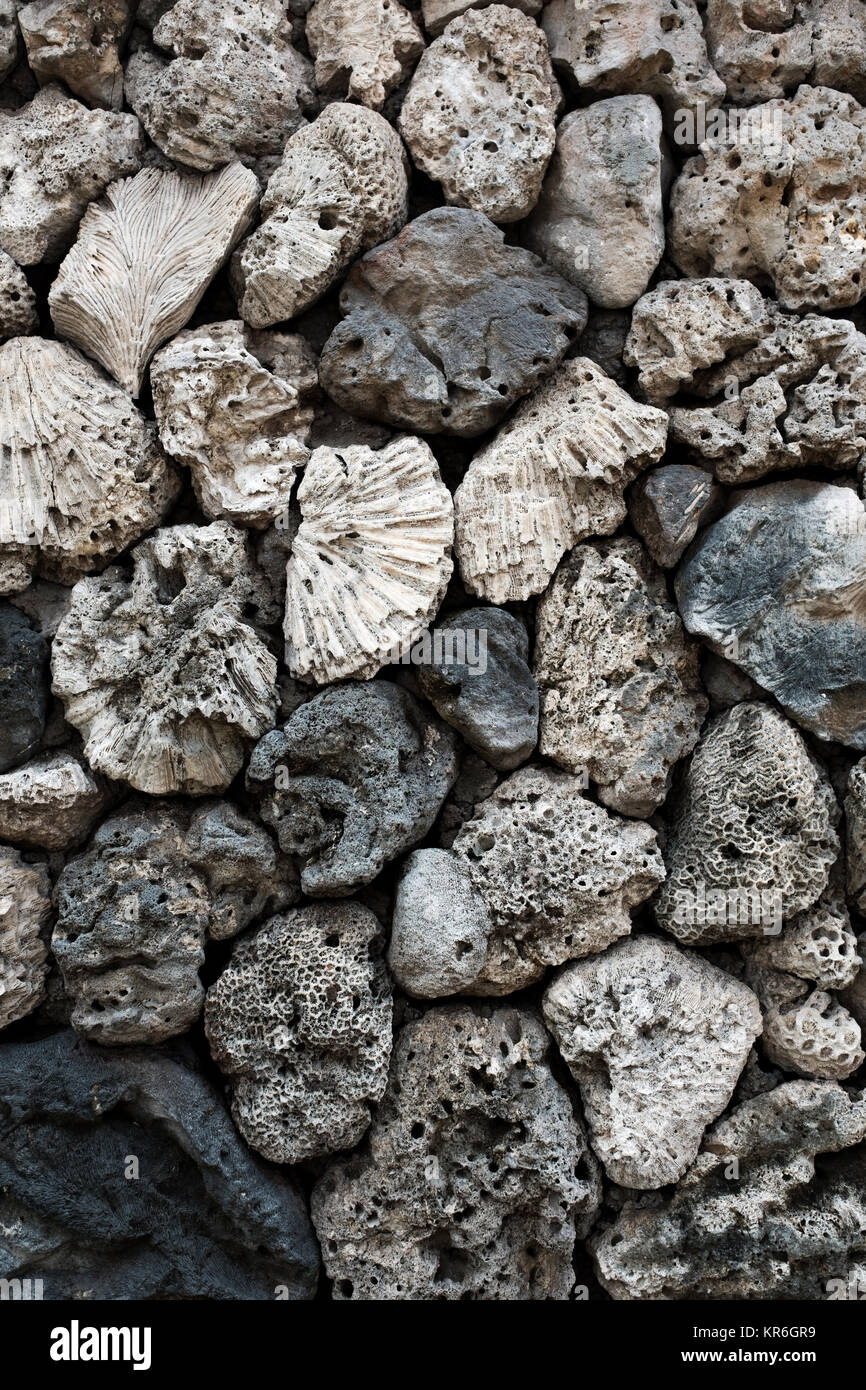 fence of dead coral. Interesting building material Stock Photo - Alamy