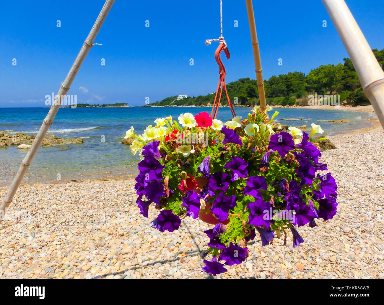 Sunny beach with beautiful flowers Stock Photo - Alamy