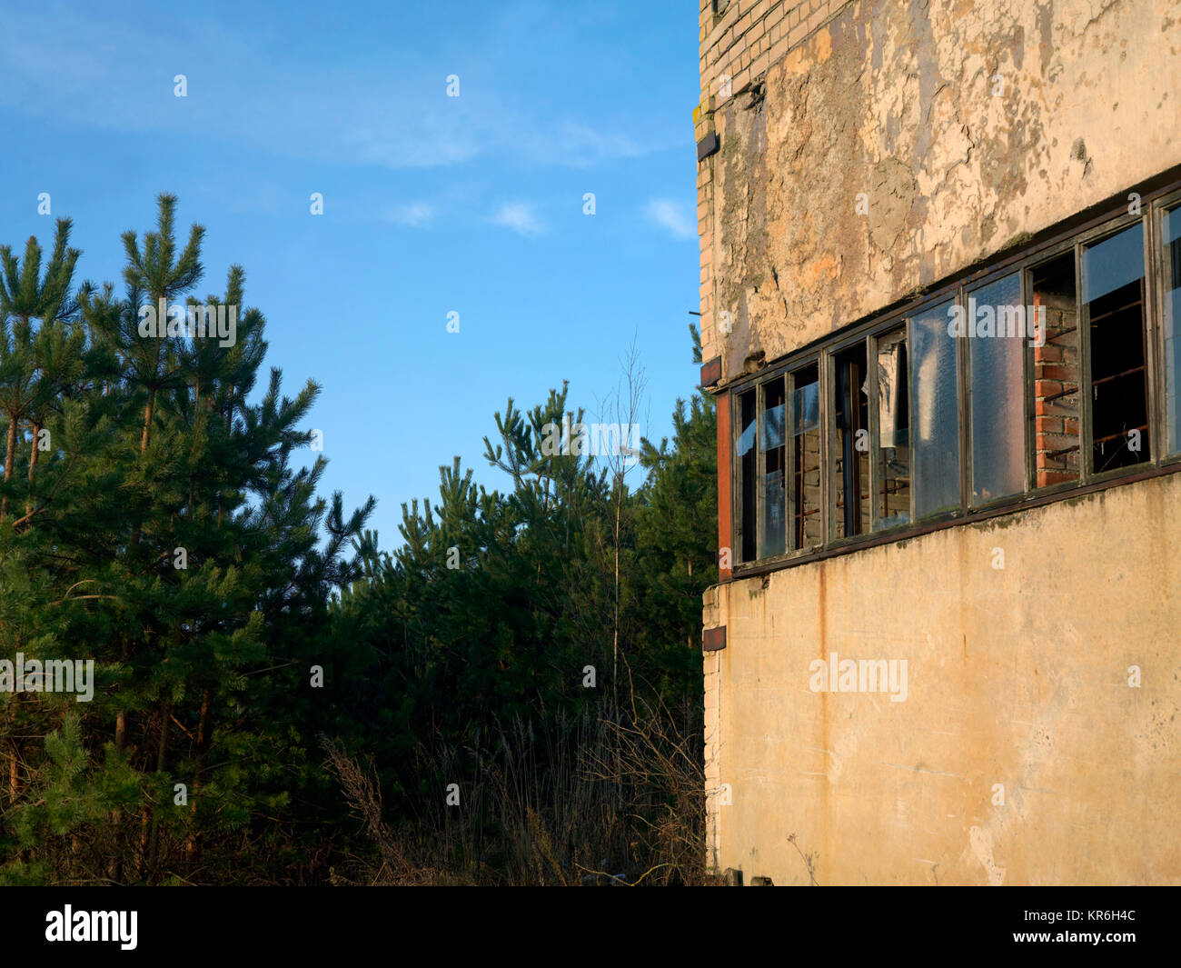 Abandoned building with smashed windows in the forest, sunny day with a ...