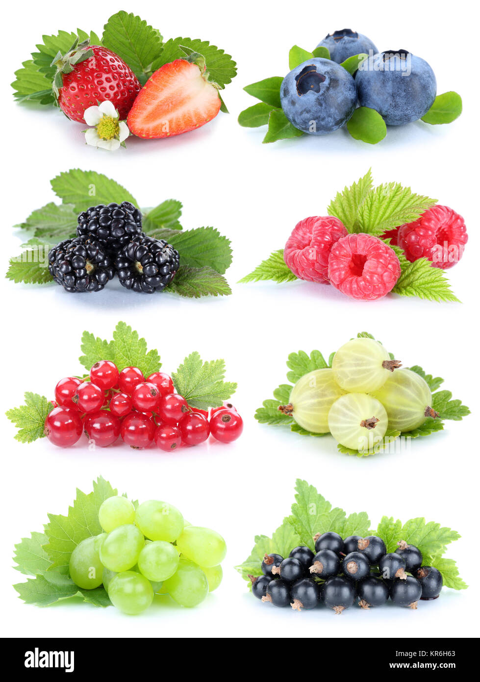 Eco collection hi-res stock photography and images - Alamy