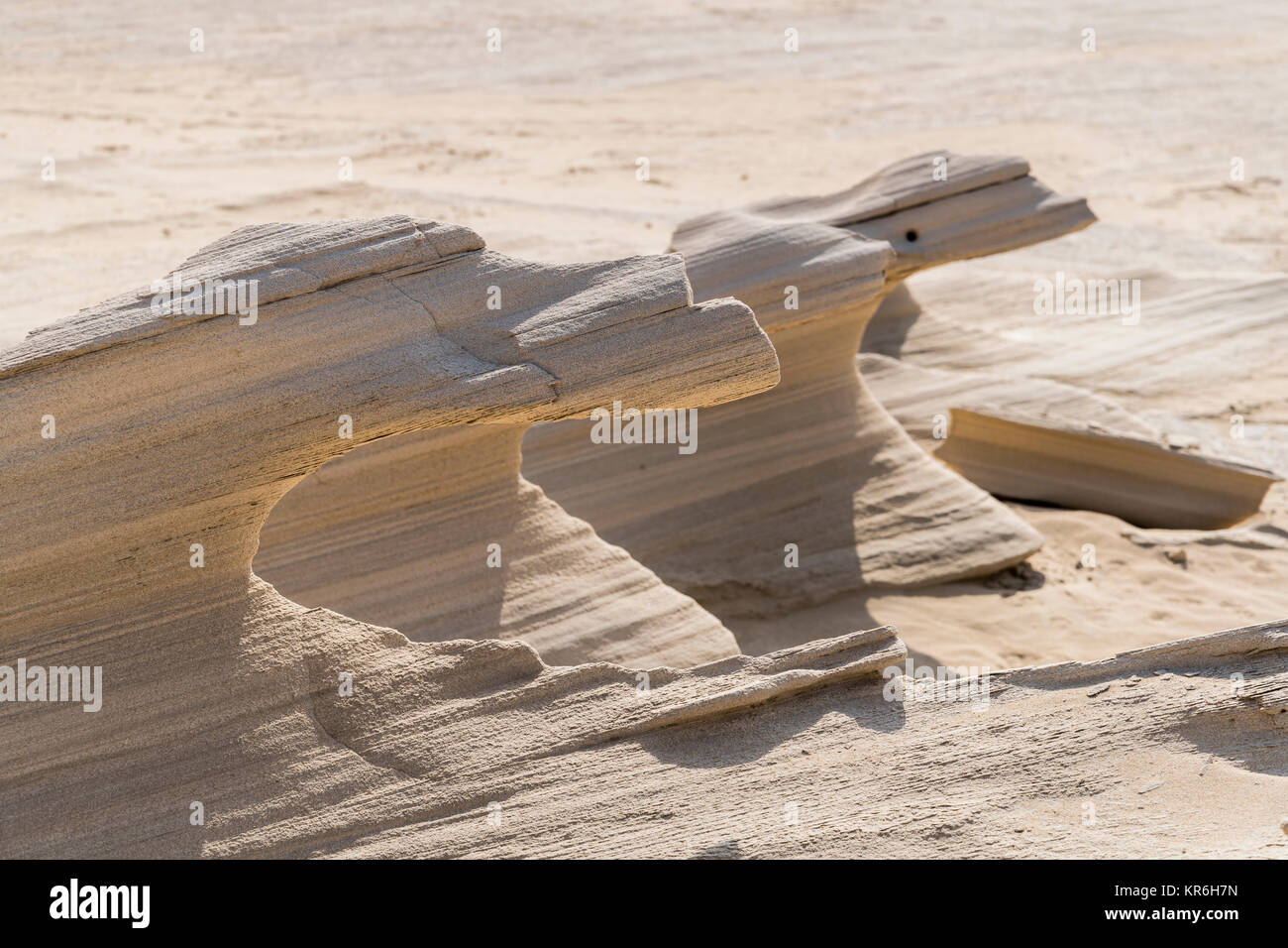 Al Wathba sand stones or Fossil Dunes in the desert of Abu Dhabi ...