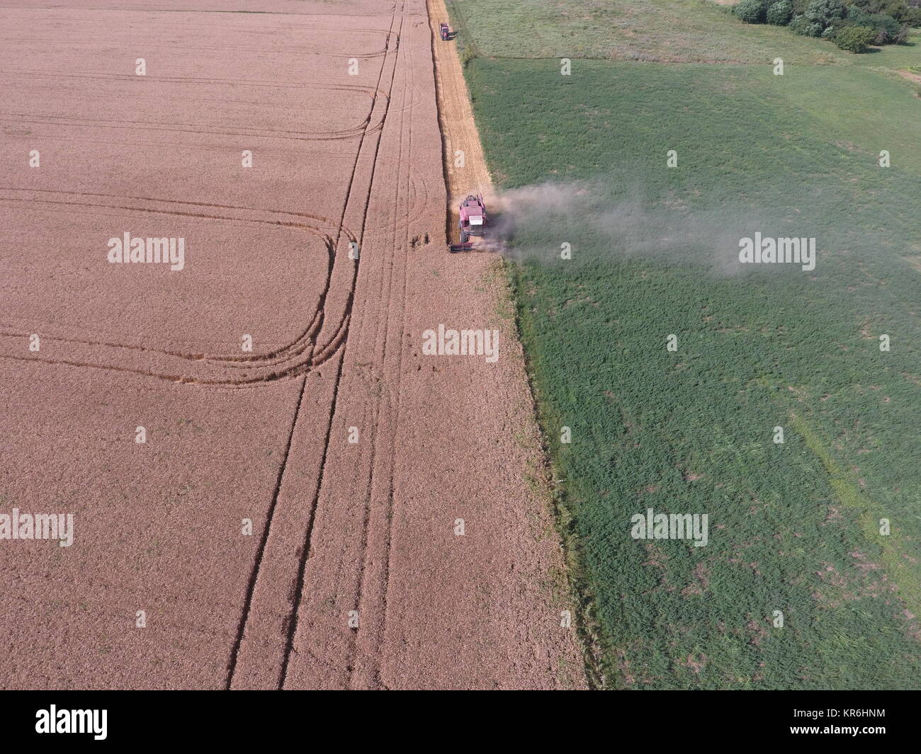 Cleaning wheat harvester Stock Photo - Alamy