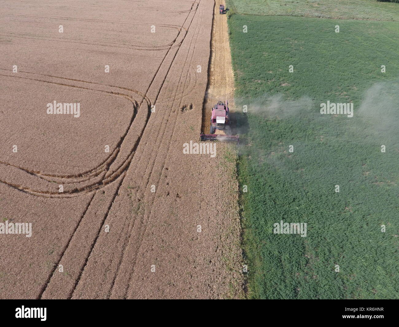 Cleaning wheat harvester Stock Photo - Alamy