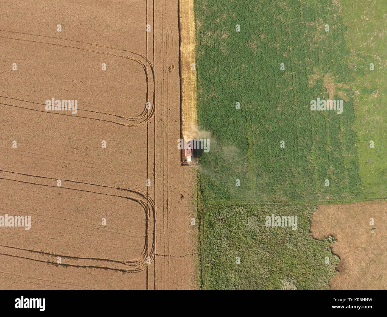 Cleaning wheat harvester Stock Photo - Alamy