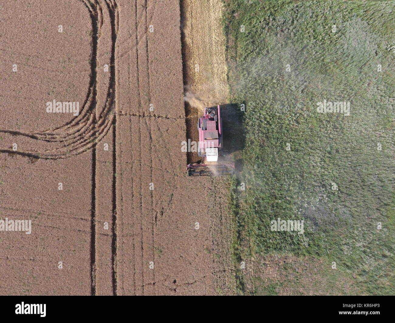 Cleaning wheat harvester Stock Photo - Alamy