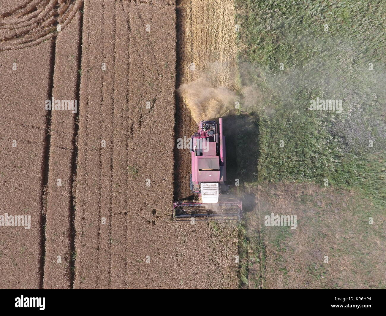 Cleaning wheat harvester Stock Photo - Alamy