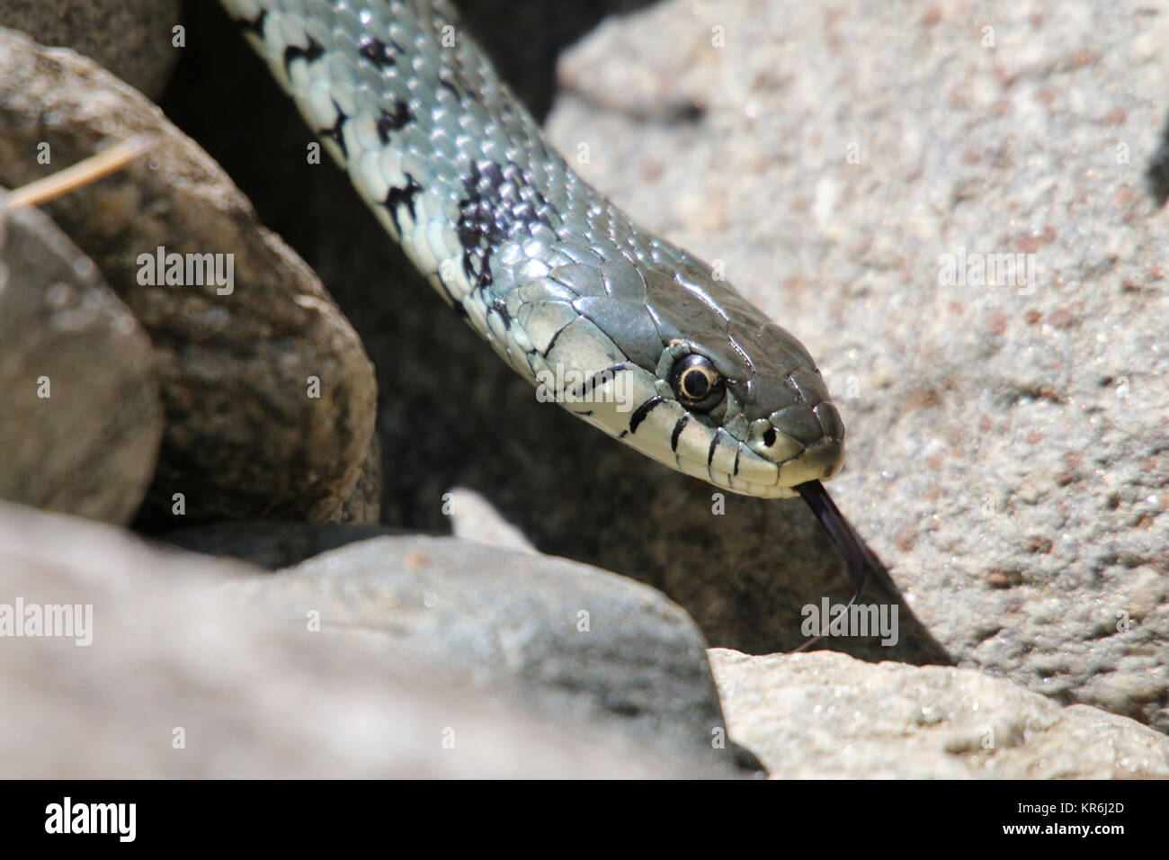 Lateral stones hi-res stock photography and images - Alamy