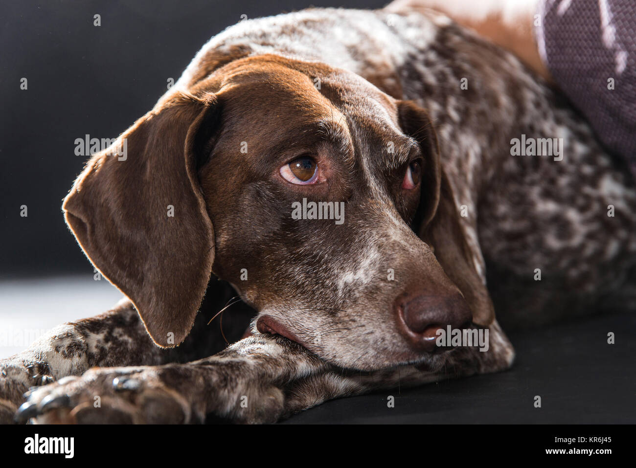 Look sideward hi-res stock photography and images - Alamy
