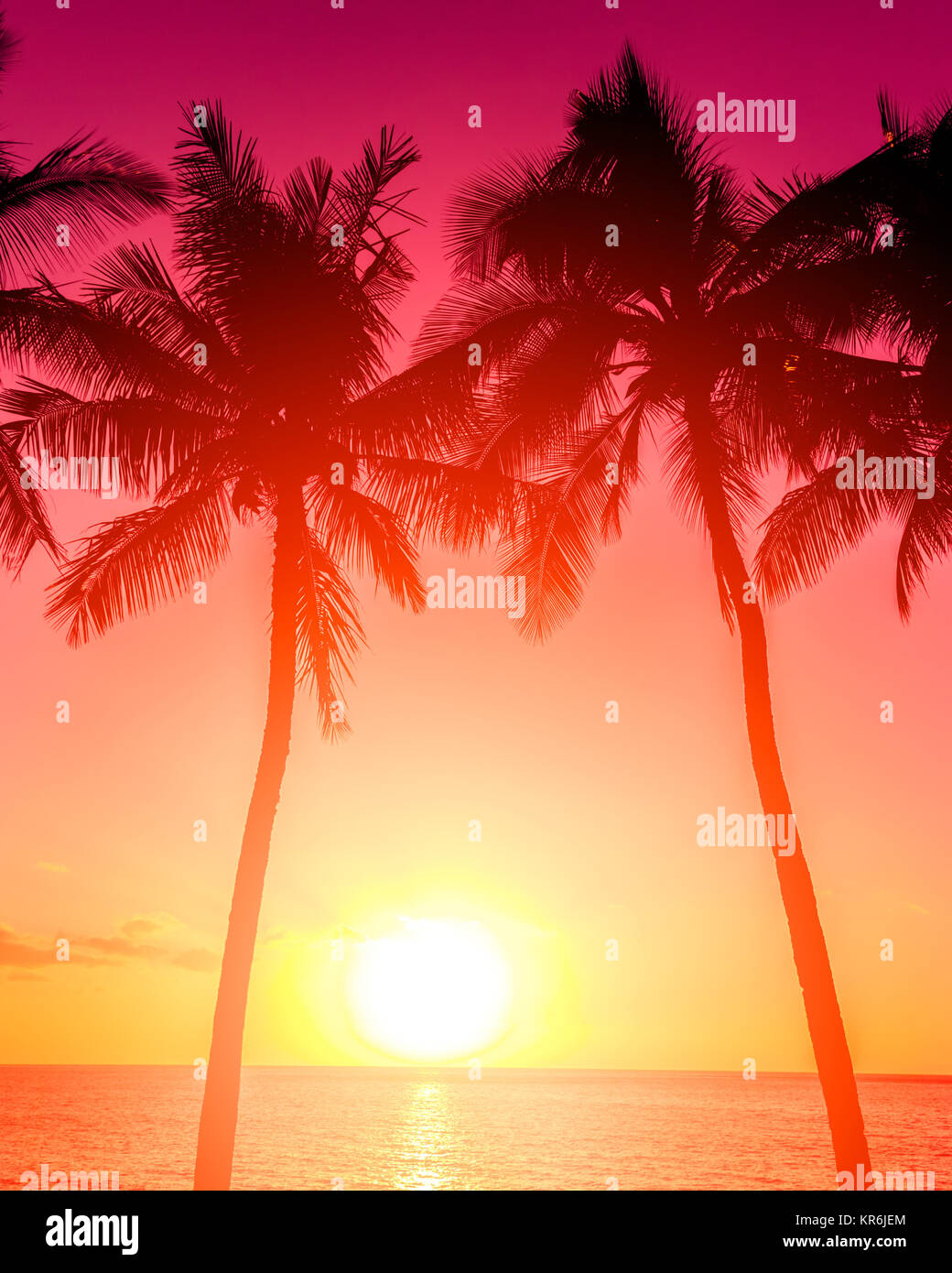 Bahamas water coconut palms hi-res stock photography and images - Alamy