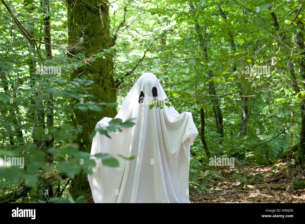 ghost in forest Stock Photo - Alamy