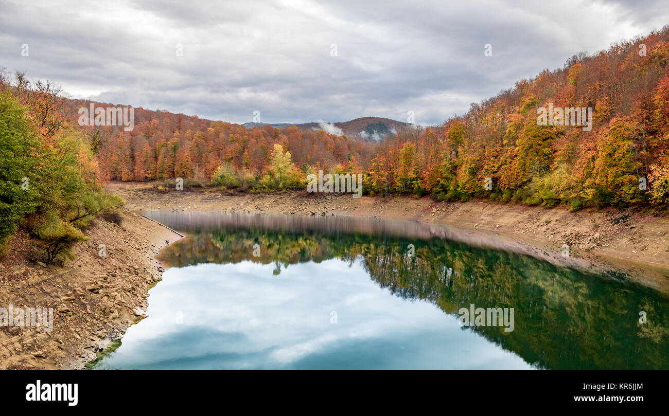 Bosque de irati spain hi-res stock photography and images - Alamy