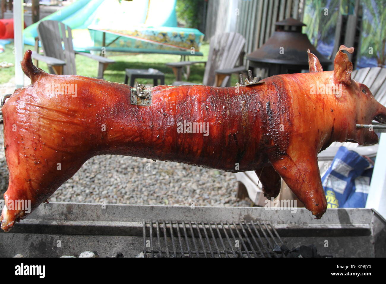Whole pork rotating on a spit Stock Photo - Alamy