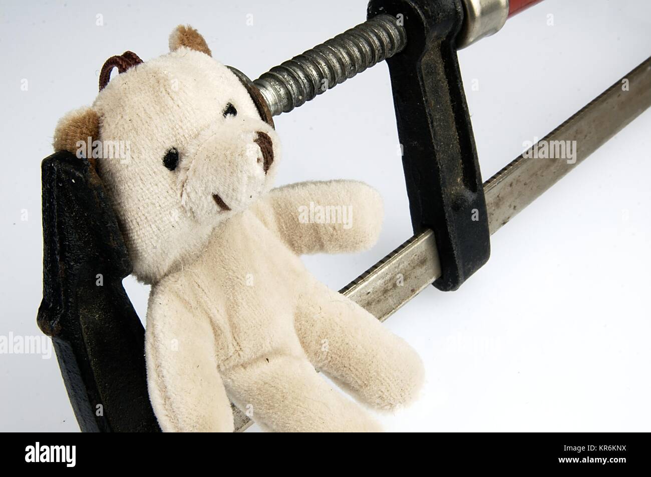 Clamp on the head teddy bear toy Stock Photo - Alamy