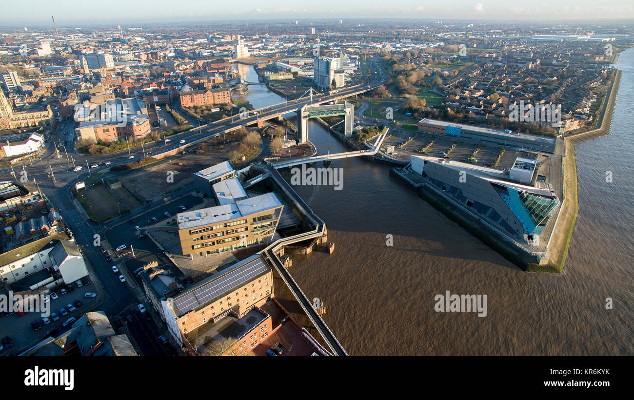 Tidal creatures hi-res stock photography and images - Alamy