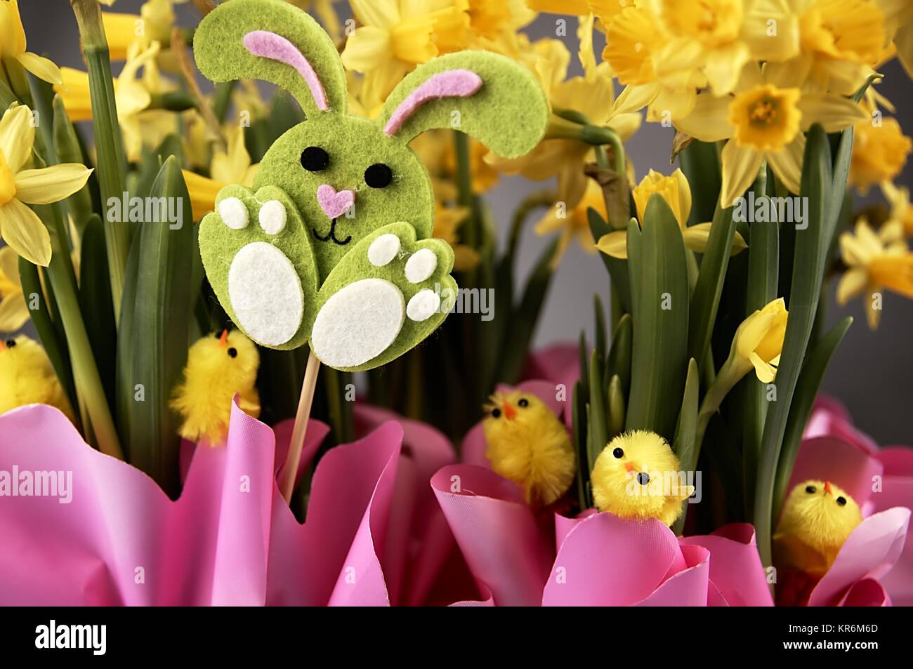 Easter bunny and yellow daffodils Stock Photo - Alamy