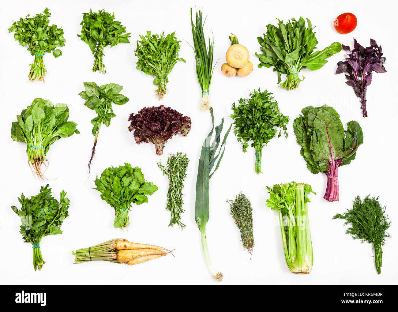 Various gardening design Cut Out Stock Images & Pictures - Alamy