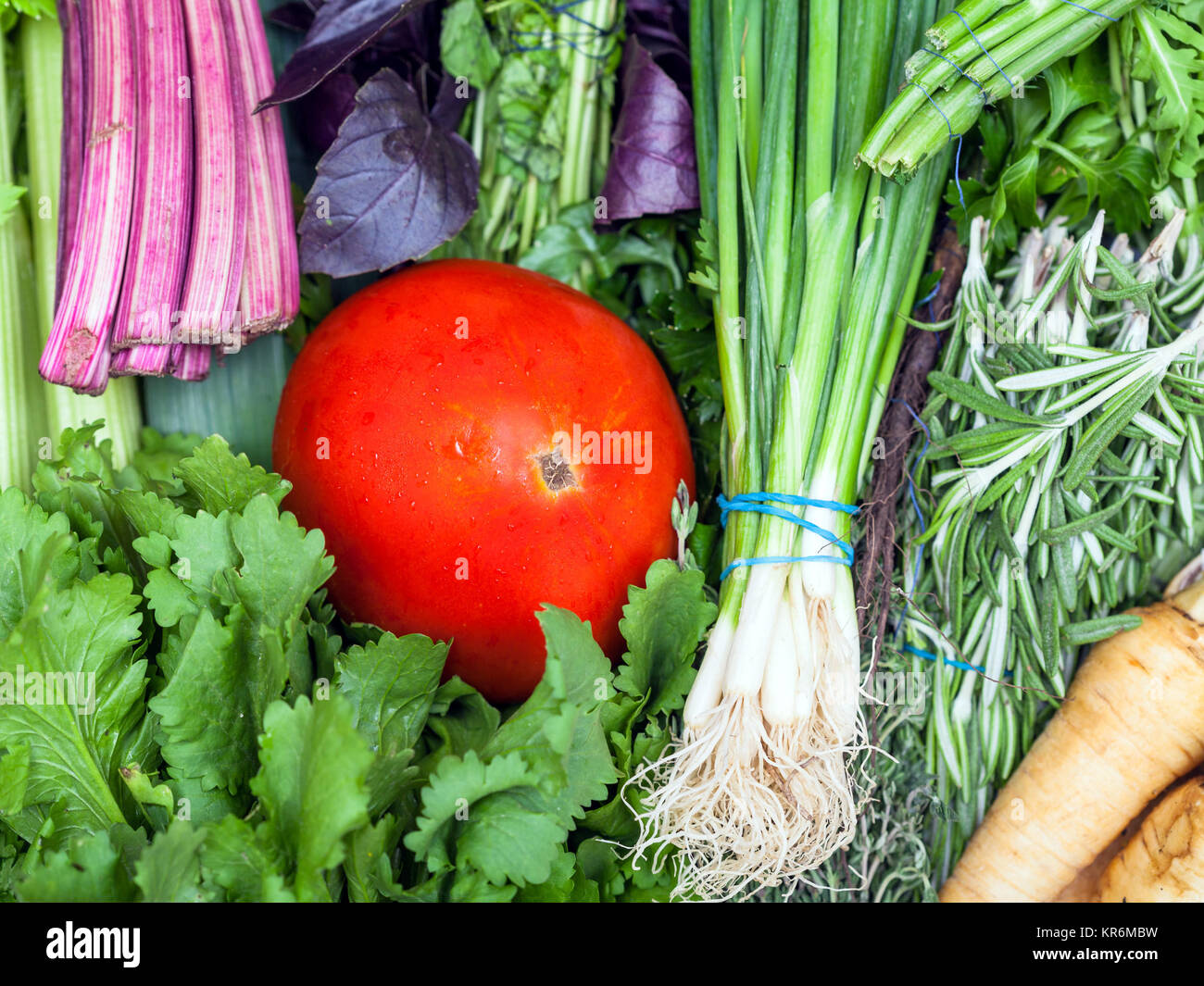 bunches of fresh cut greenery and red tomato Stock Photo - Alamy