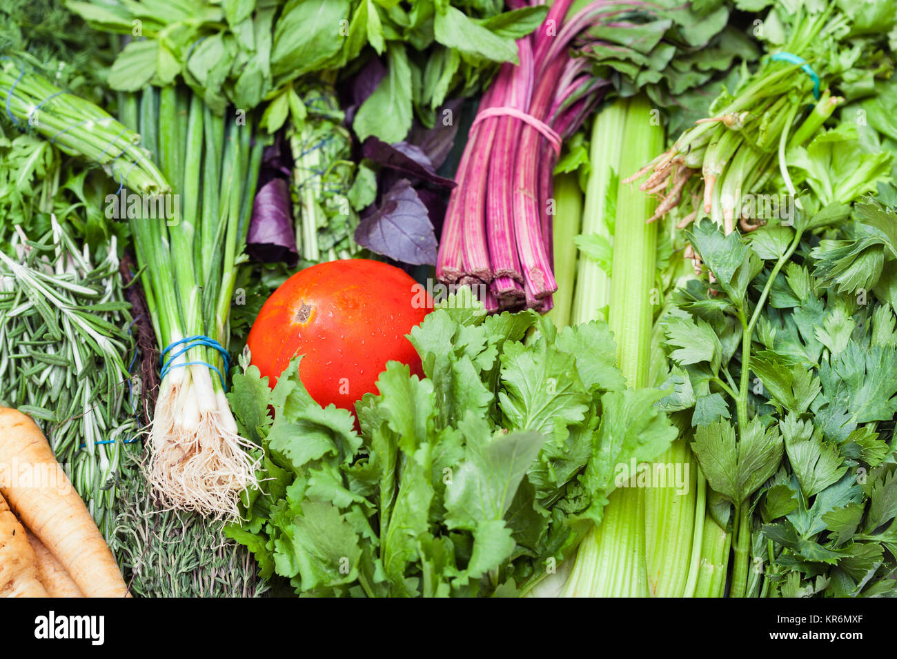 bunches of fresh cut greenery Stock Photo - Alamy