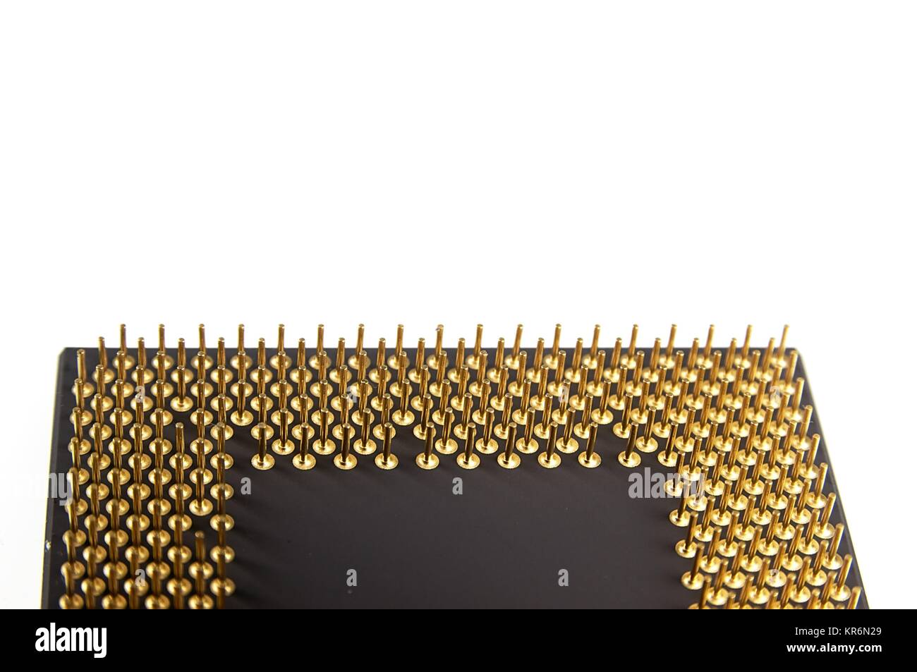 Processor seen from the gold pins on a white background Stock Photo - Alamy