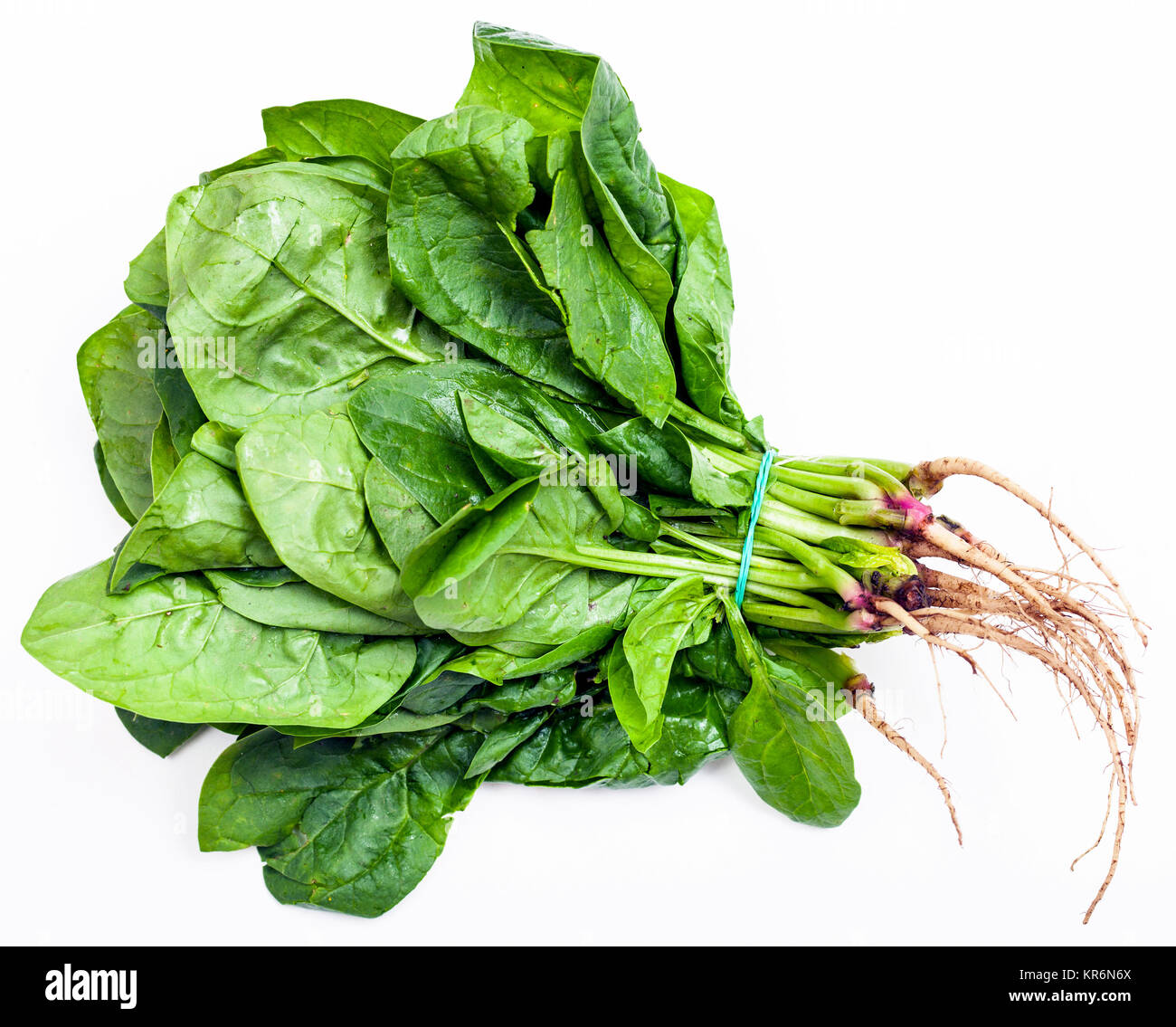 bunch of fresh cut spinach herb on white Stock Photo - Alamy