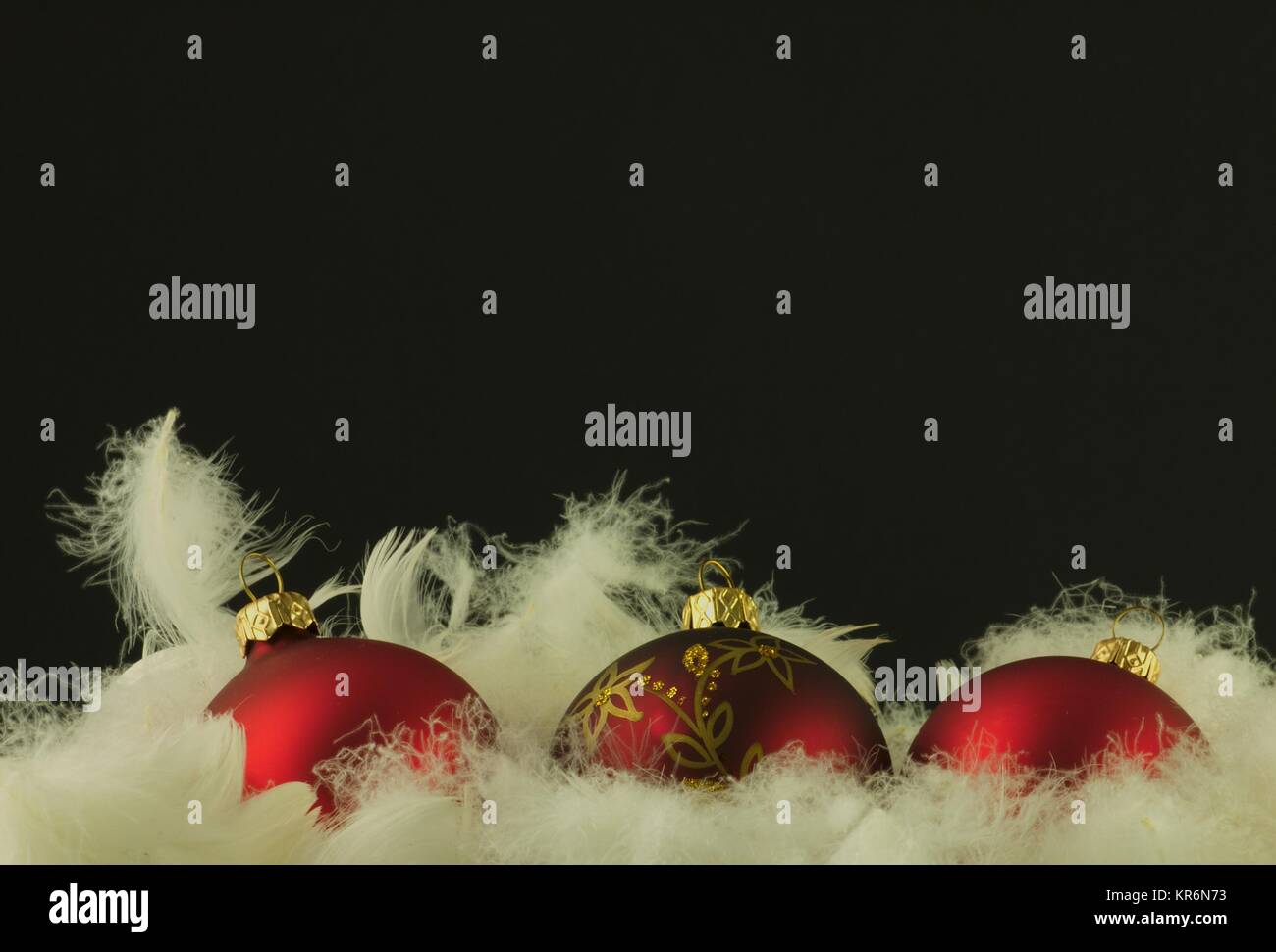 New winter feathers hi-res stock photography and images - Alamy