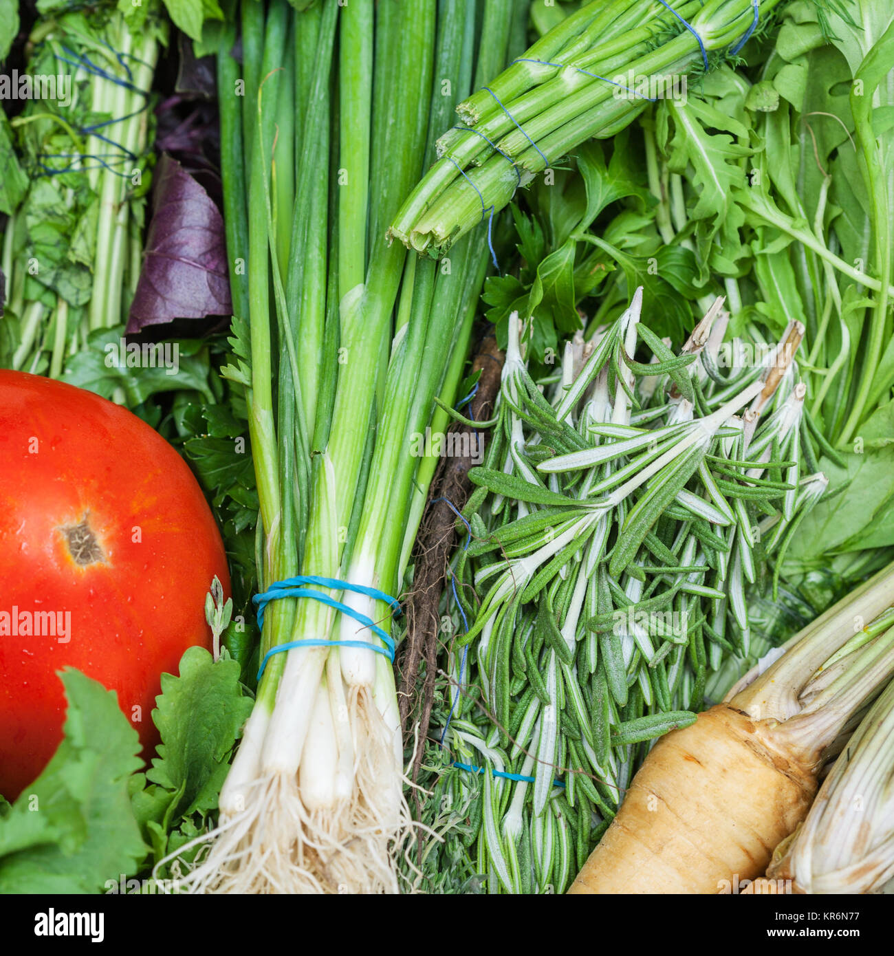 bunches of fresh cut green stuff close up Stock Photo - Alamy