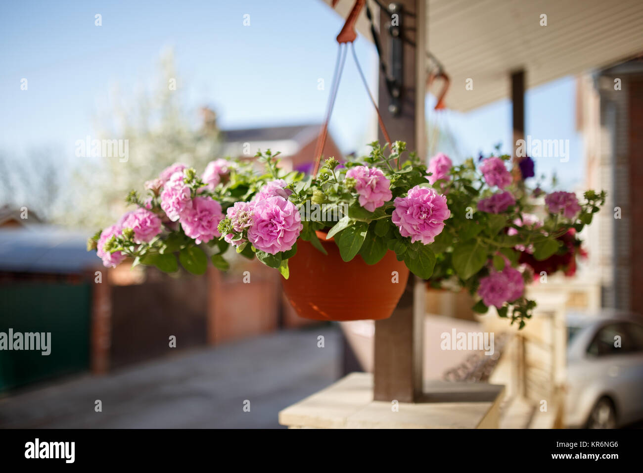 Flower pot dangling from the roof of the house Stock Photo - Alamy