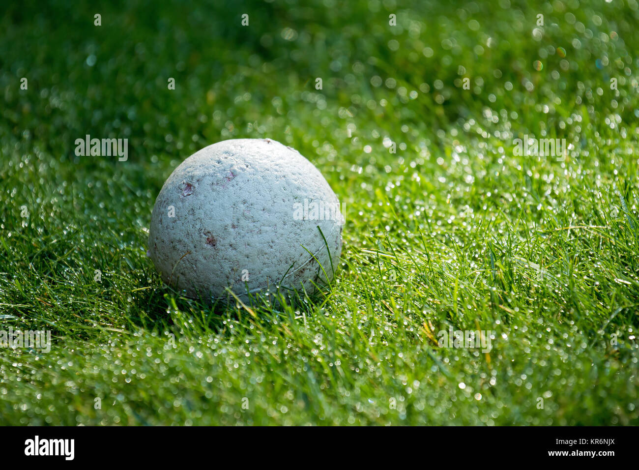 Ball on Grass Stock Photo - Alamy
