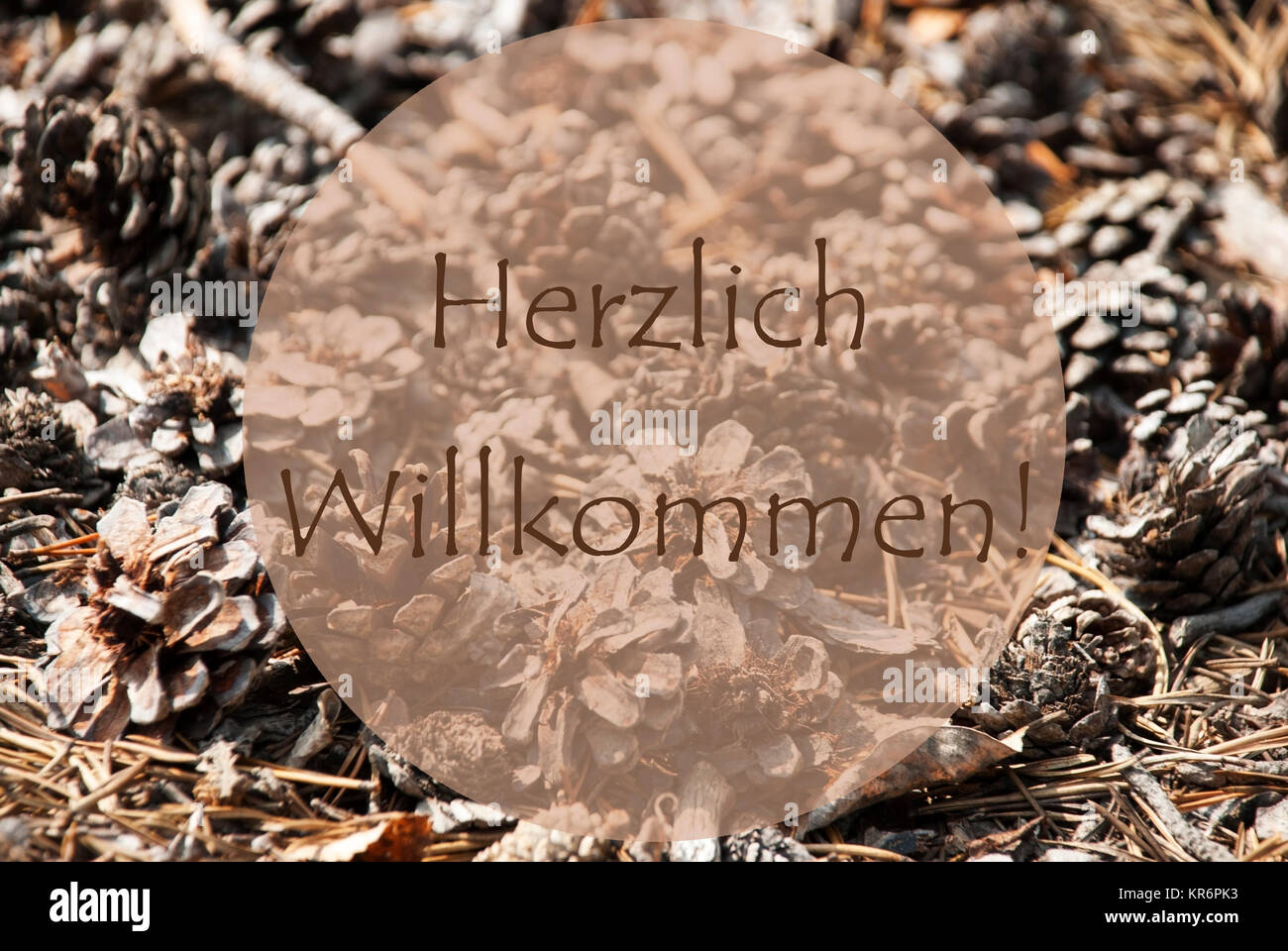 Texture Of Fir Or Pine Cone. Autumn Season Greeting Card. German Text ...