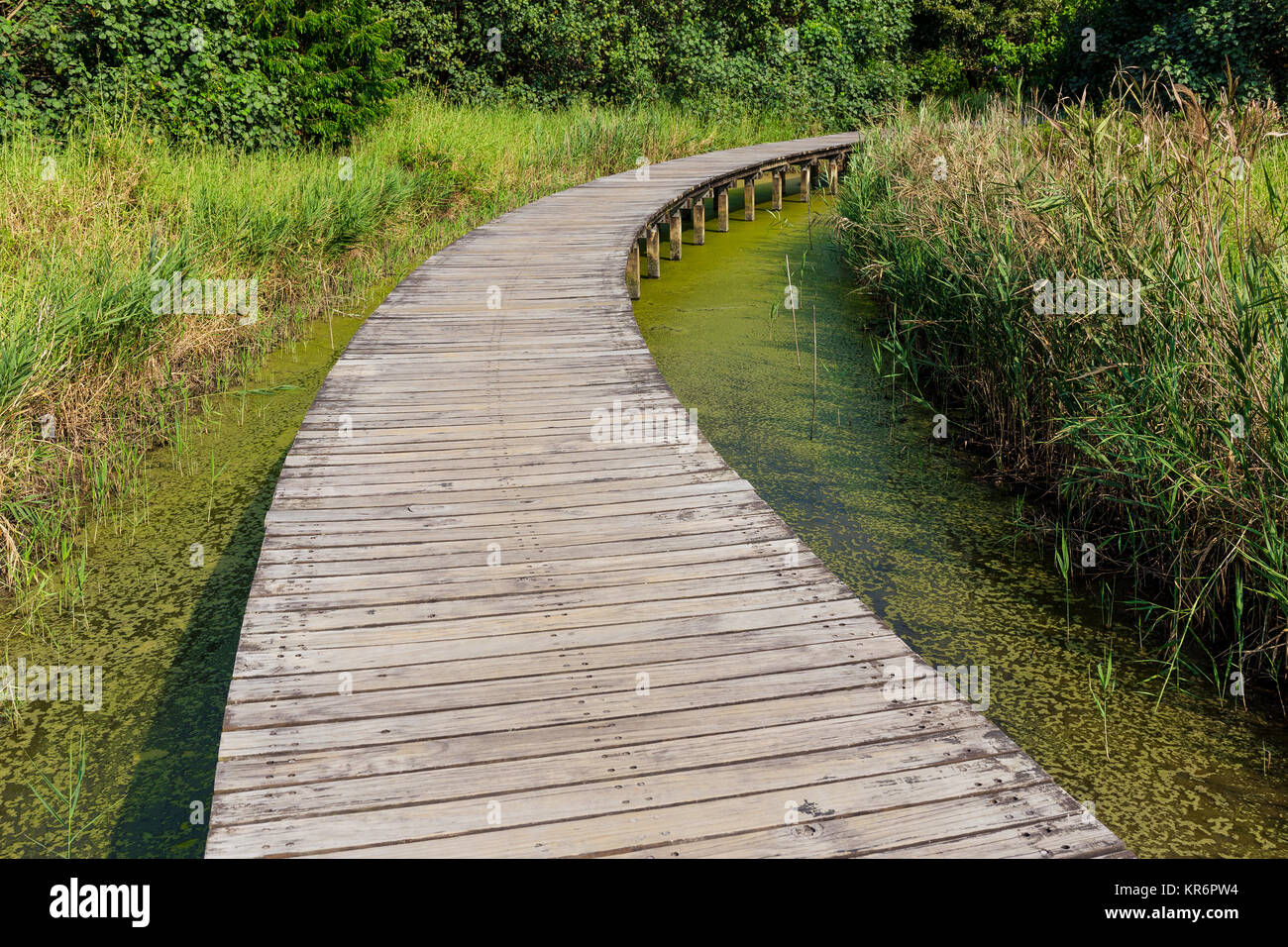 Hong Kong Wetland Park wooden walk way Stock Photo - Alamy