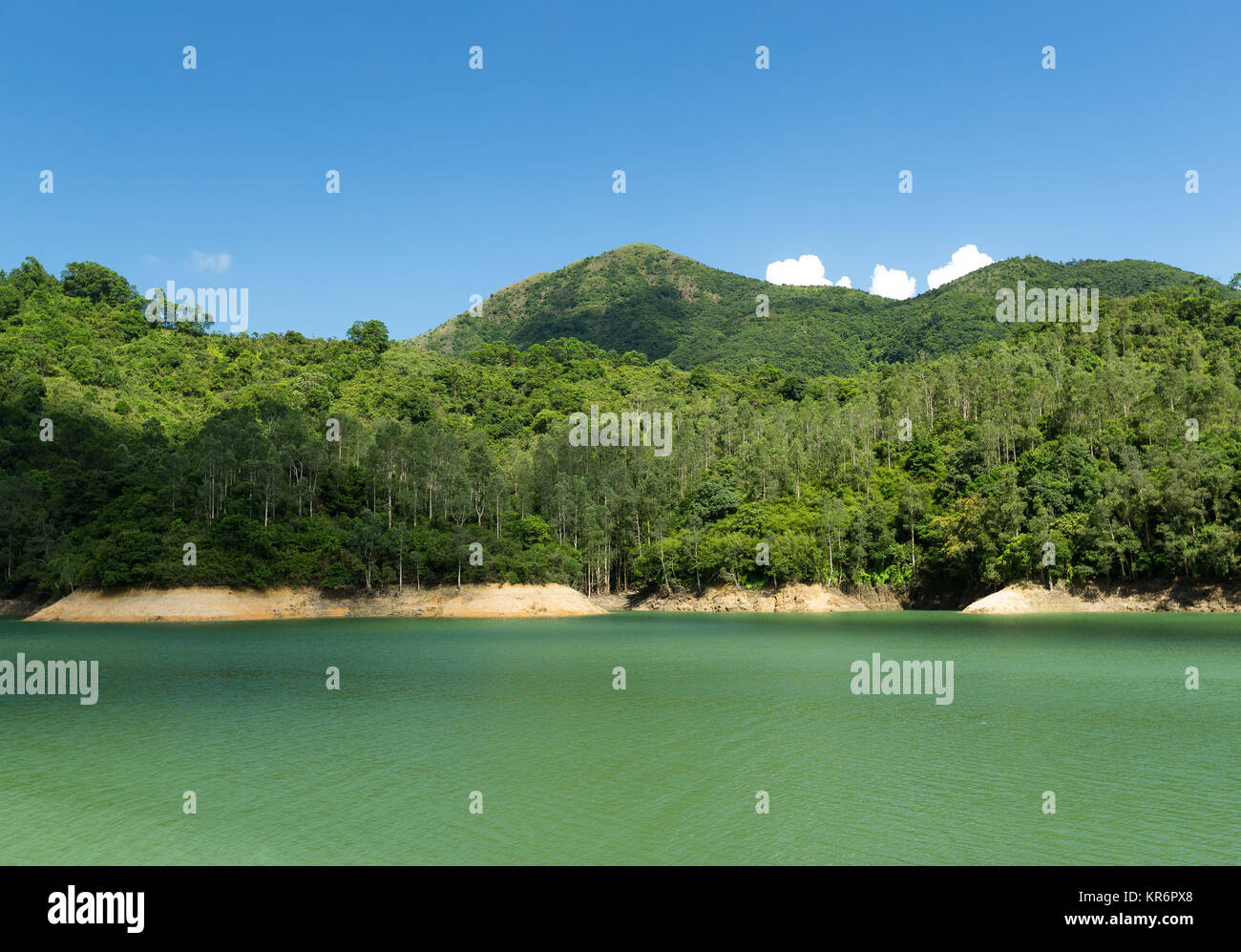 Reservoir and forest Stock Photo - Alamy