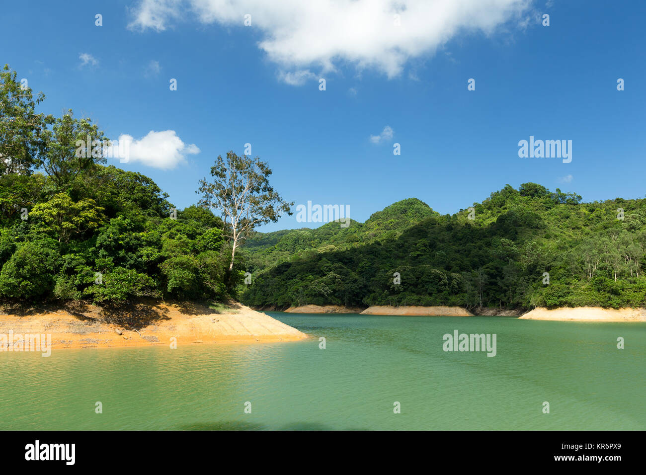 Reservoir and forest Stock Photo - Alamy