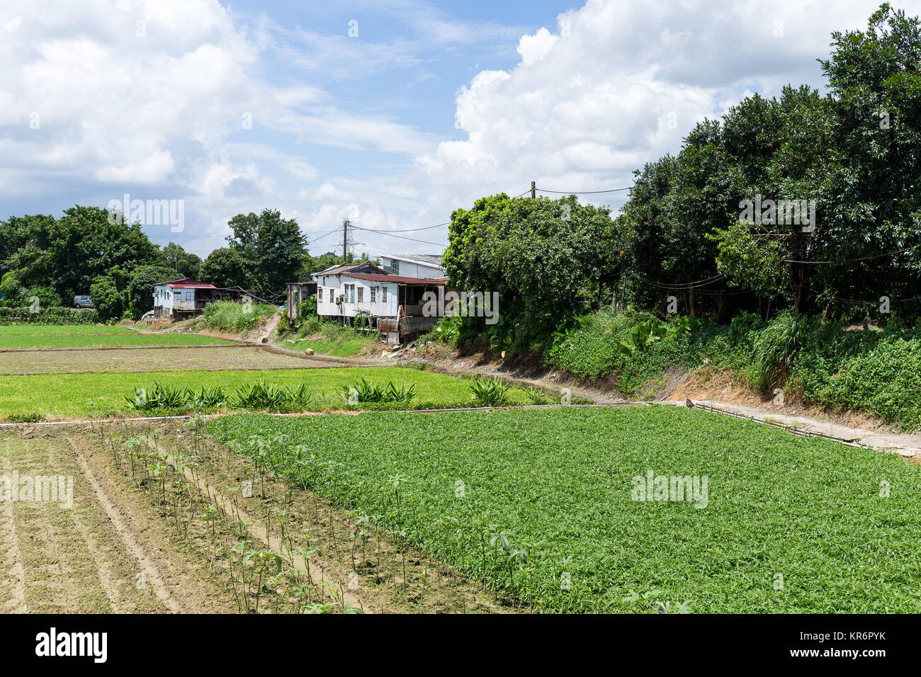 Green field in countryside Stock Photo - Alamy