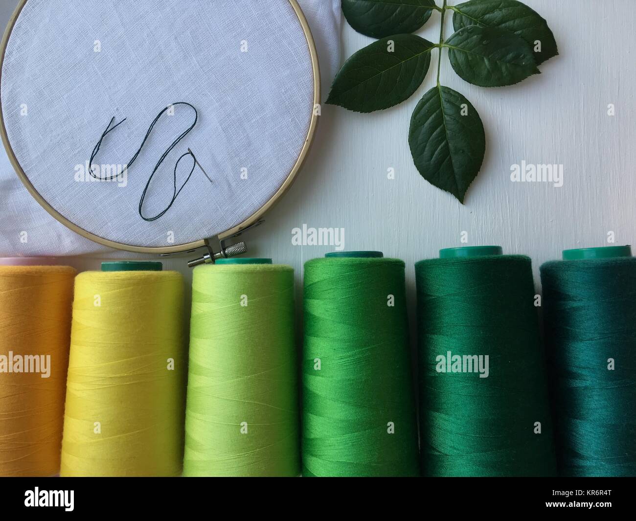 Embroidery pattern close up hi-res stock photography and images - Alamy