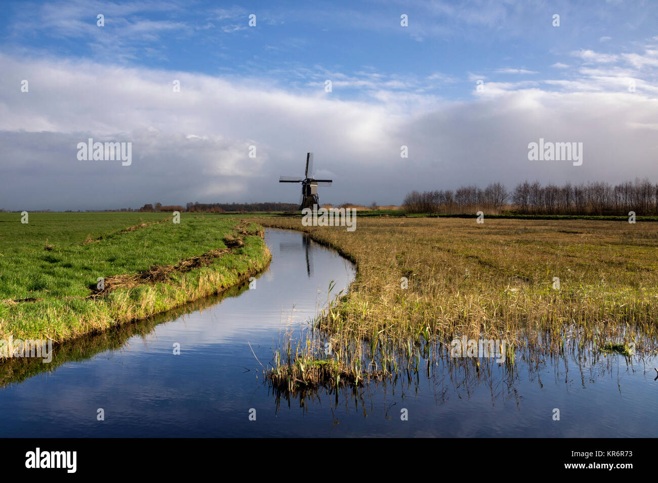 Dutch polder landscape Stock Photo - Alamy