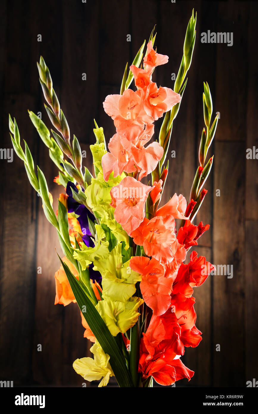 Bunch of iris hi-res stock photography and images - Alamy