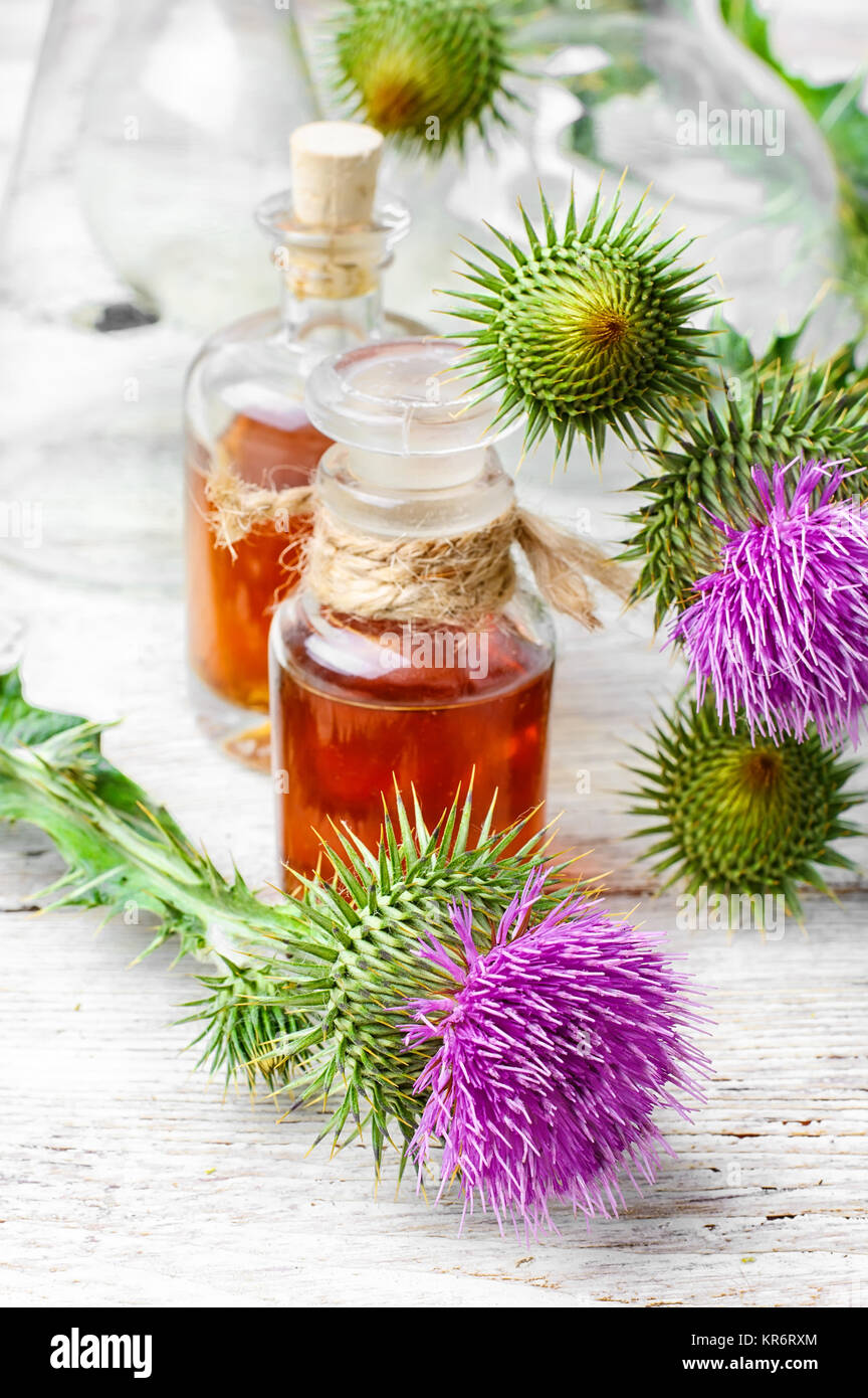 Elixir of medicinal herbs Stock Photo - Alamy
