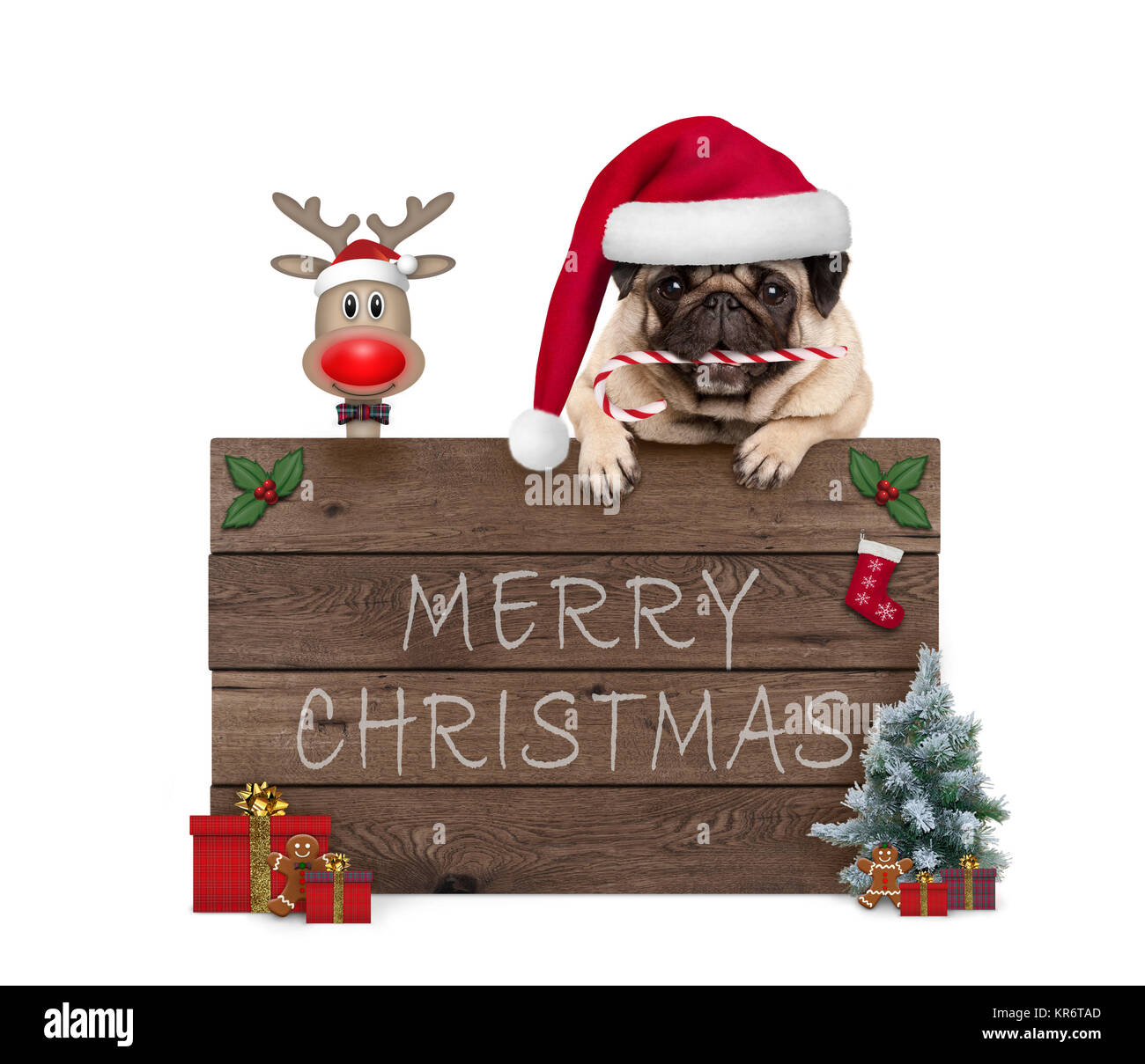 cute Christmas pug puppy dog and rednosed reindeer behind old wooden ...