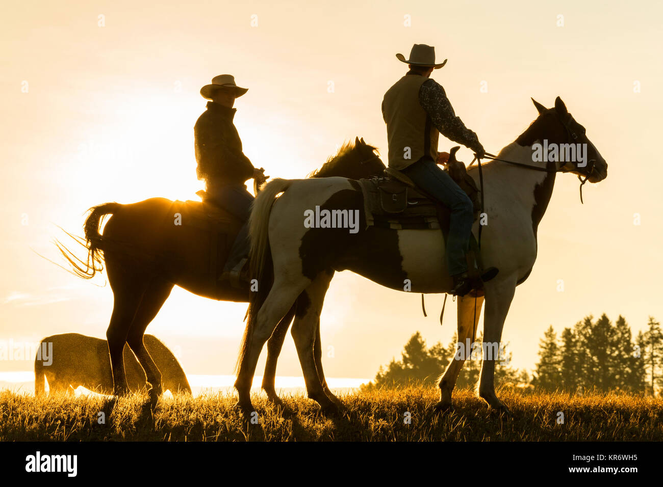 Two cowboys riding on horseback in a Prairie landscape at sunset Stock ...