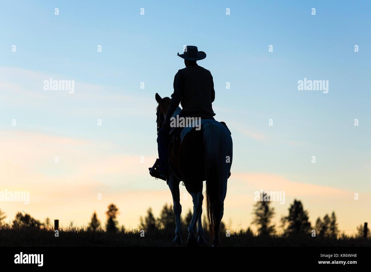 Back view man horseback hi-res stock photography and images - Alamy