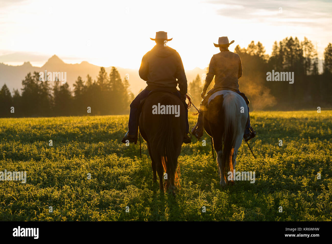 Two cowboys riding on horseback in a Prairie landscape at sunset Stock ...