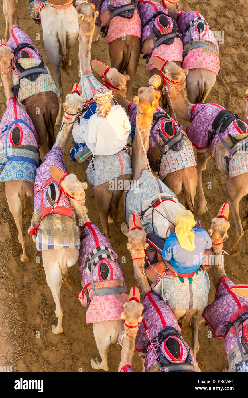 Riding on camels hi-res stock photography and images - Alamy